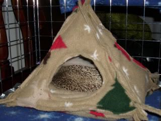 how to make hedgehog tent