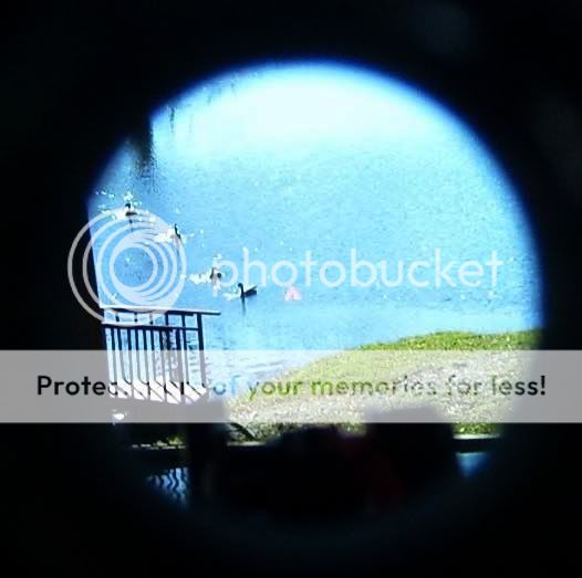 PICTURE REQUESTS! Reticle pictures. > Optics, Mounts, and Sights > AR15.COM