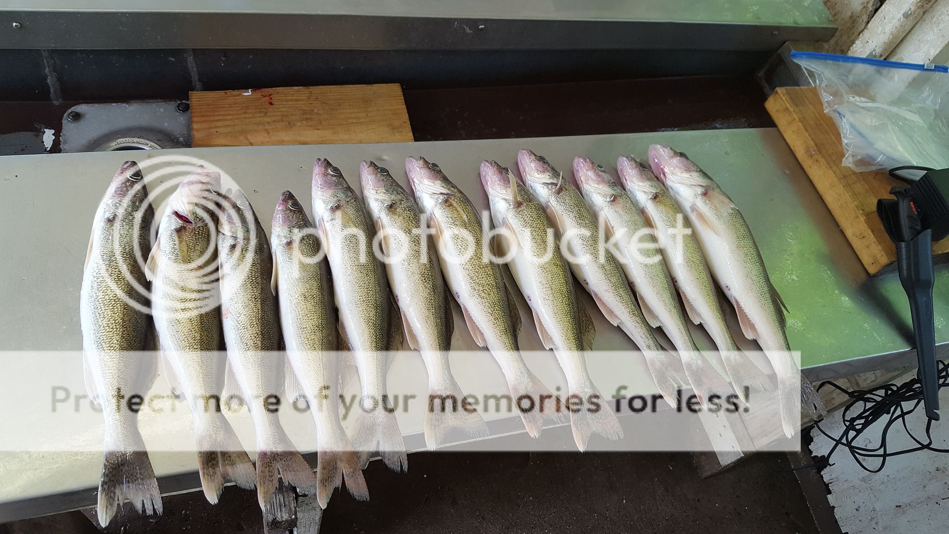 Brookville Reservoir, Indiana vacation, walleye - The South End