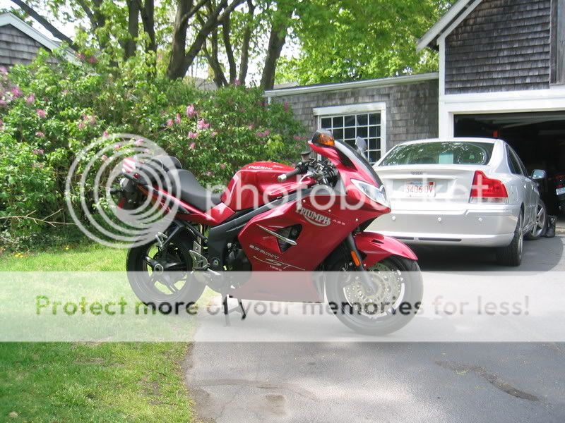 Added a decal | Triumph Rat Motorcycle Forums