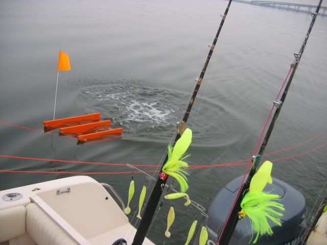 Planer board tips/tricks w pics | Tidal Fish Forum