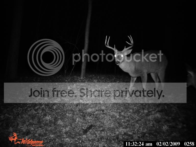 Wildgame Innovations IR4 Scouting Camera | New Jersey Hunters