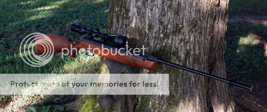 Beeman R1 | Rimfire Central Firearm Forum