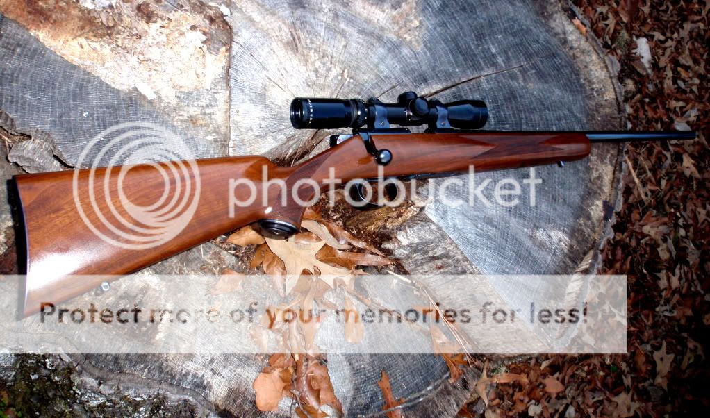 My Kimber 82, | Rimfire Central Firearm Forum