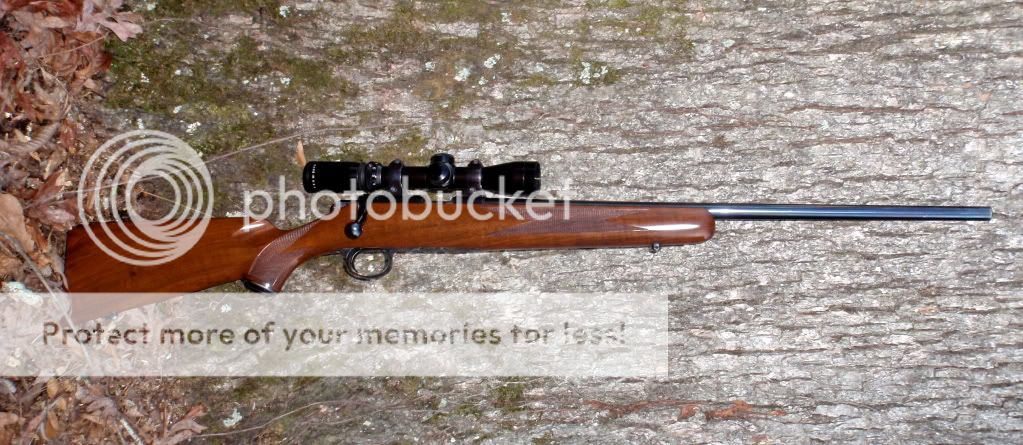 Show me your Kimber!! | Page 7 | Rimfire Central Firearm Forum