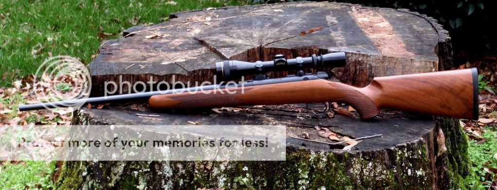 Show me your Kimber!! | Page 7 | Rimfire Central Firearm Forum