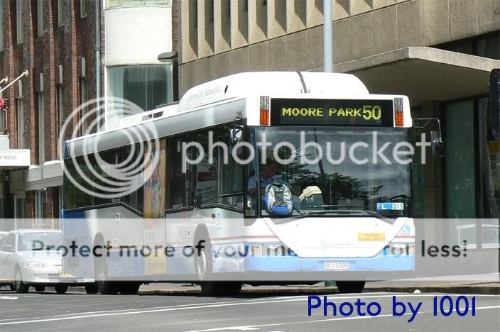 [SYD]Misc. STA buses (I)